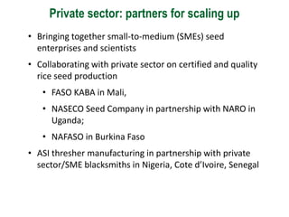 Achieving rice self-sufficiency in Africa | PPT