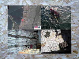 Rice story | PPT