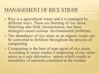 Rice straw composting | PPTX