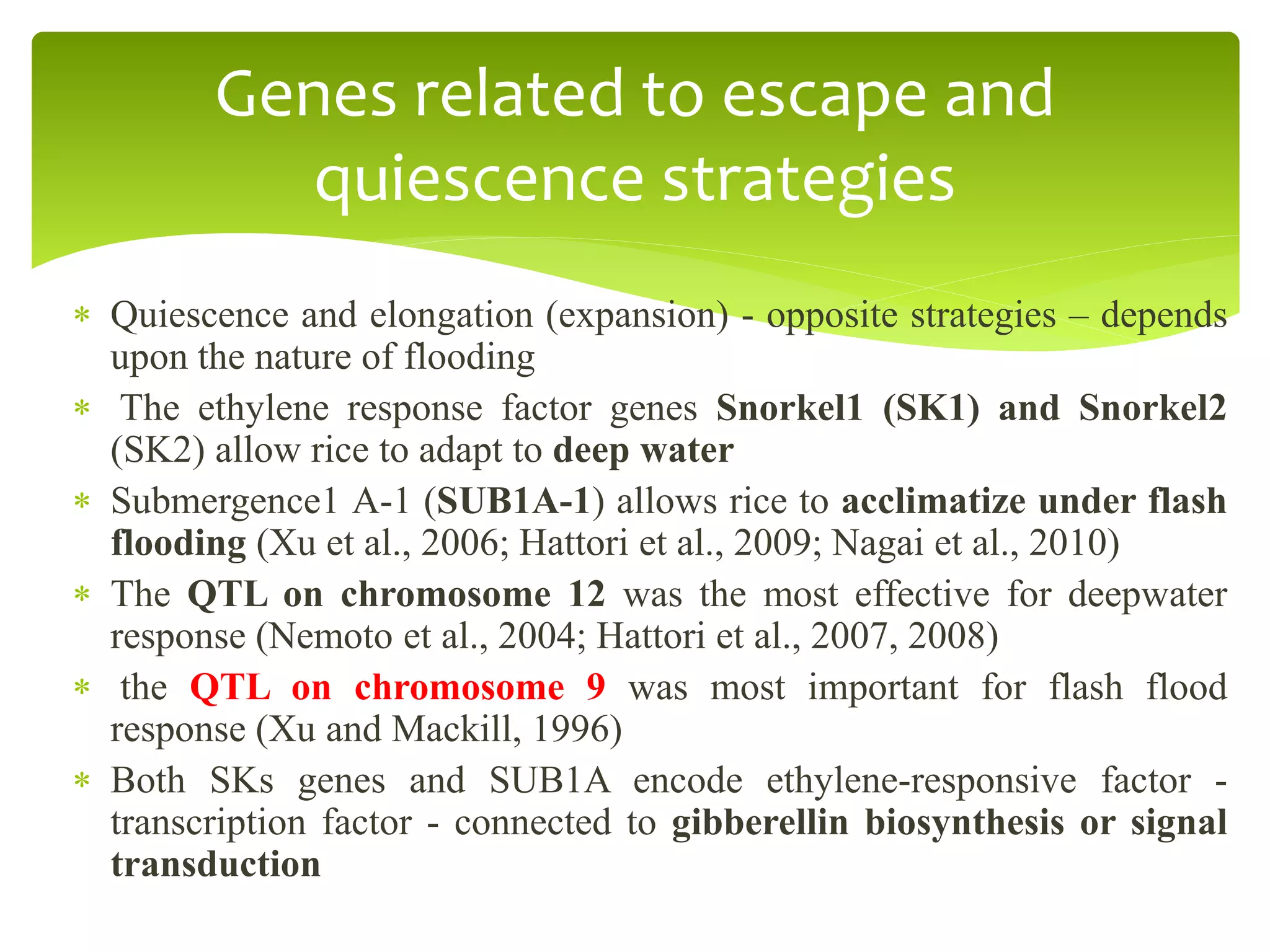 submergence tolerance in rice - sub 1 | PPTX