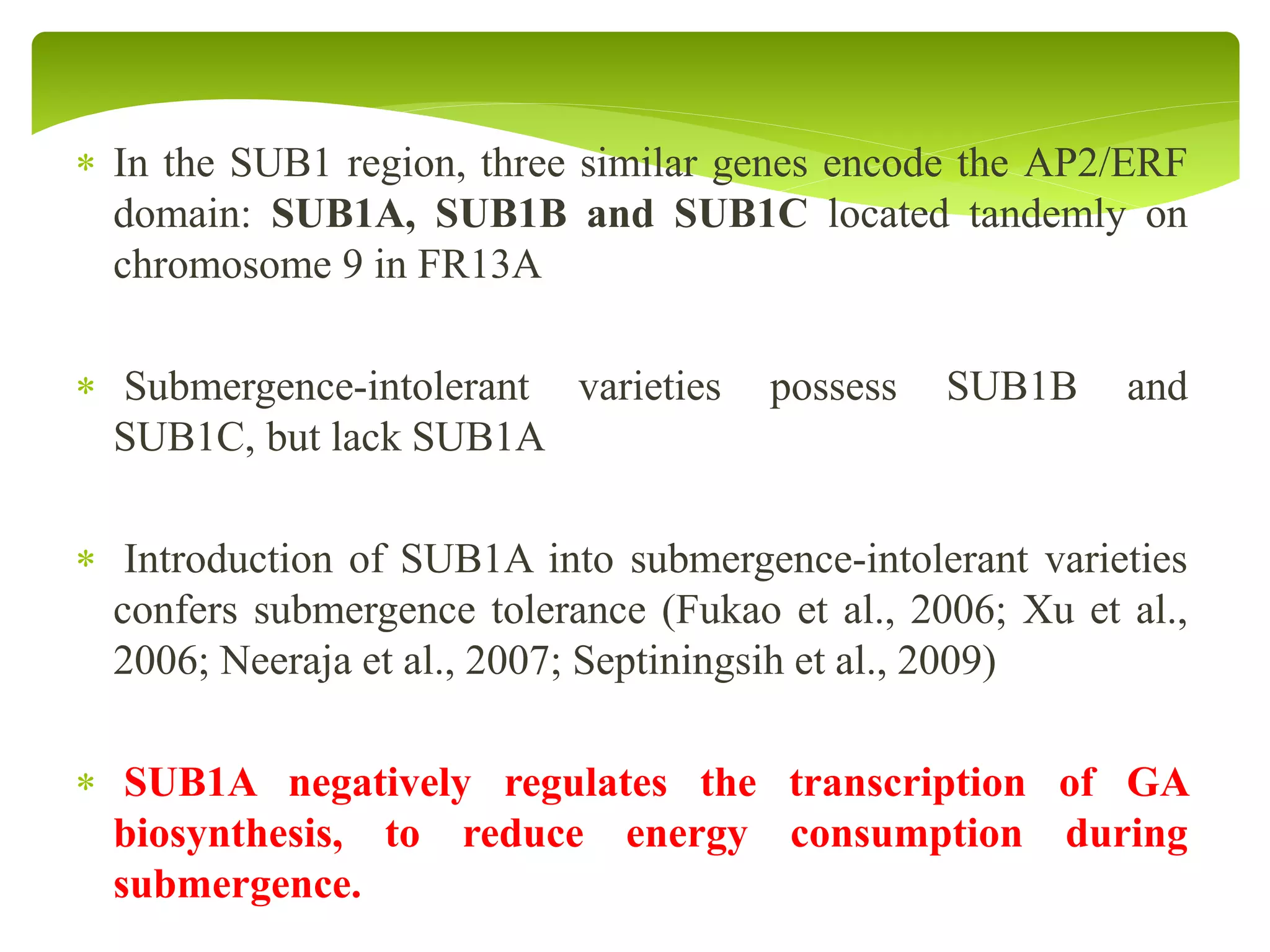 submergence tolerance in rice - sub 1 | PPTX