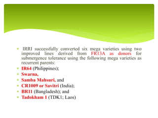 submergence tolerance in rice - sub 1 | PPTX