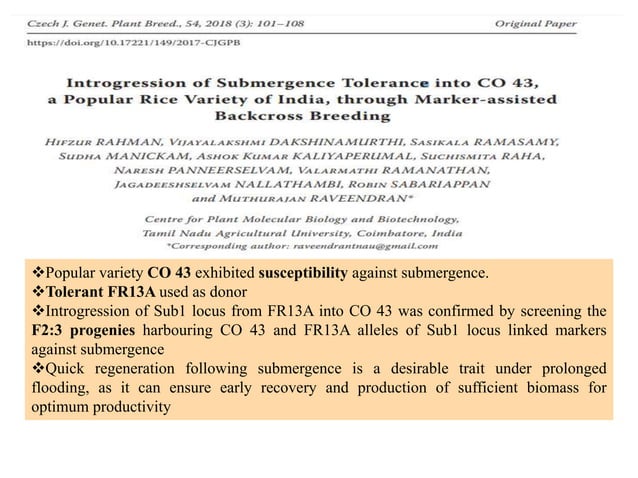 submergence tolerance in rice - sub 1 | PPTX | Genetics | Science