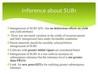 submergence tolerance in rice - sub 1 | PPTX