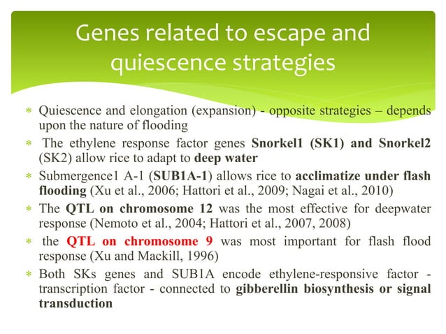 submergence tolerance in rice - sub 1 | PPTX | Genetics | Science