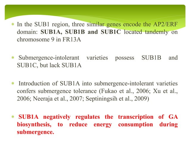 submergence tolerance in rice - sub 1 | PPTX | Genetics | Science