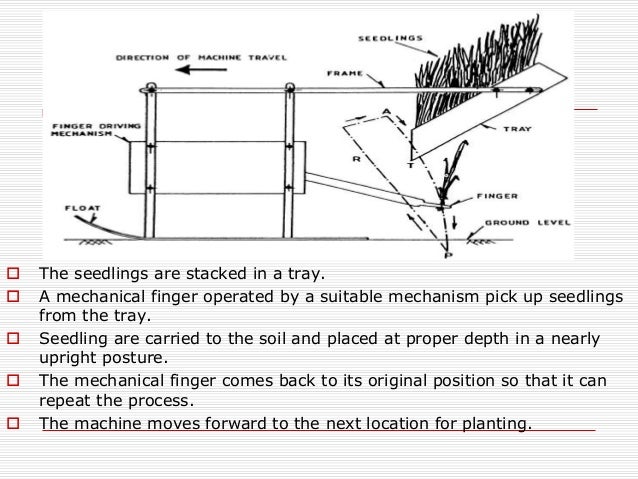 Rice transplanter mechanism