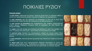 Ρύζι_Τσάμη | PDF