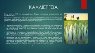 Ρύζι_Τσάμη | PDF