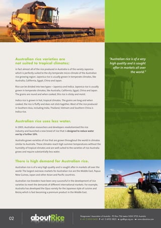 Rice varieties | PDF | Agriculture | Industries