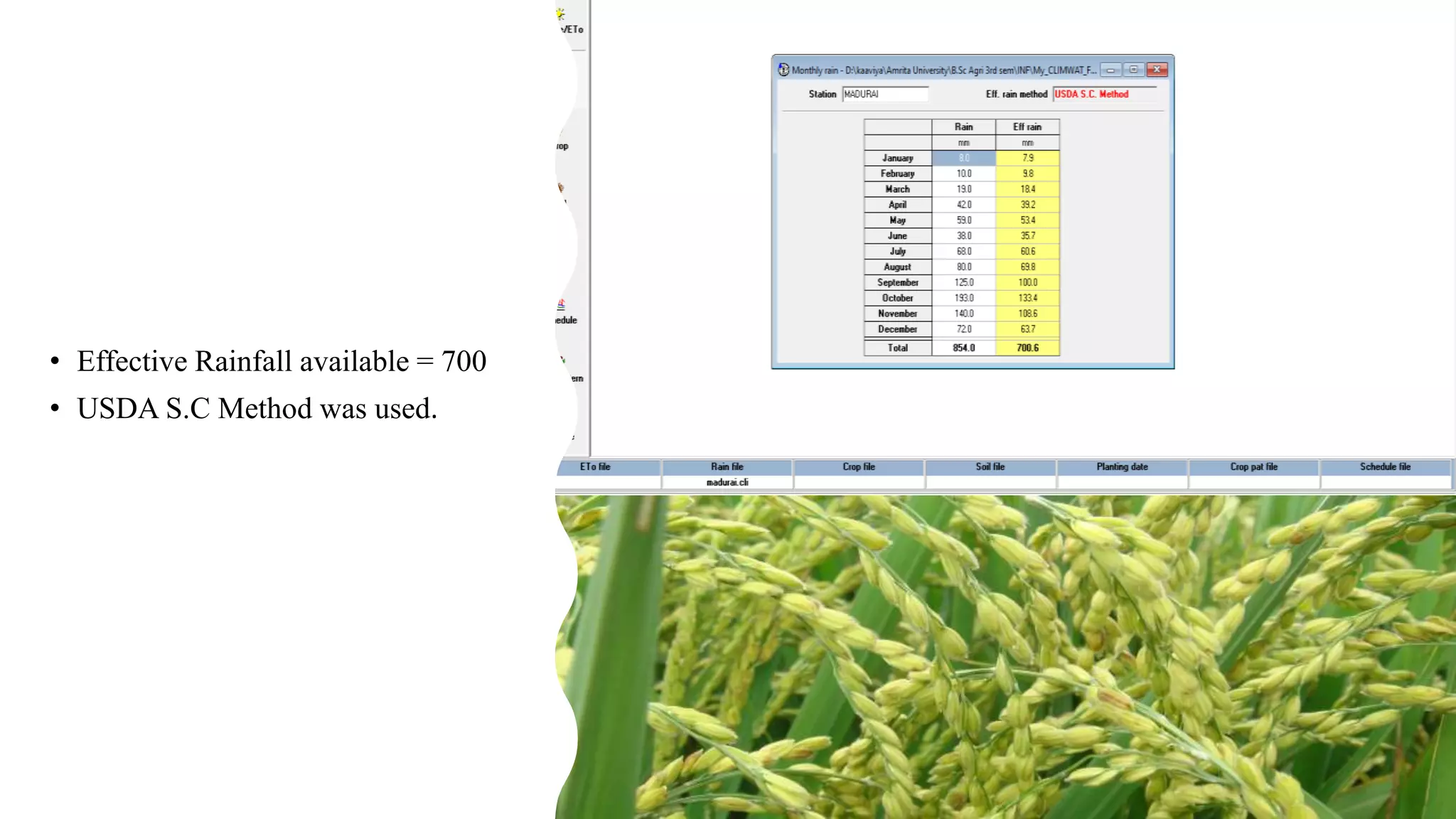 Rice water foot print | PPT