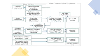 Rice water foot print | PPT