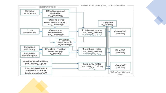 Rice water foot print | PPT