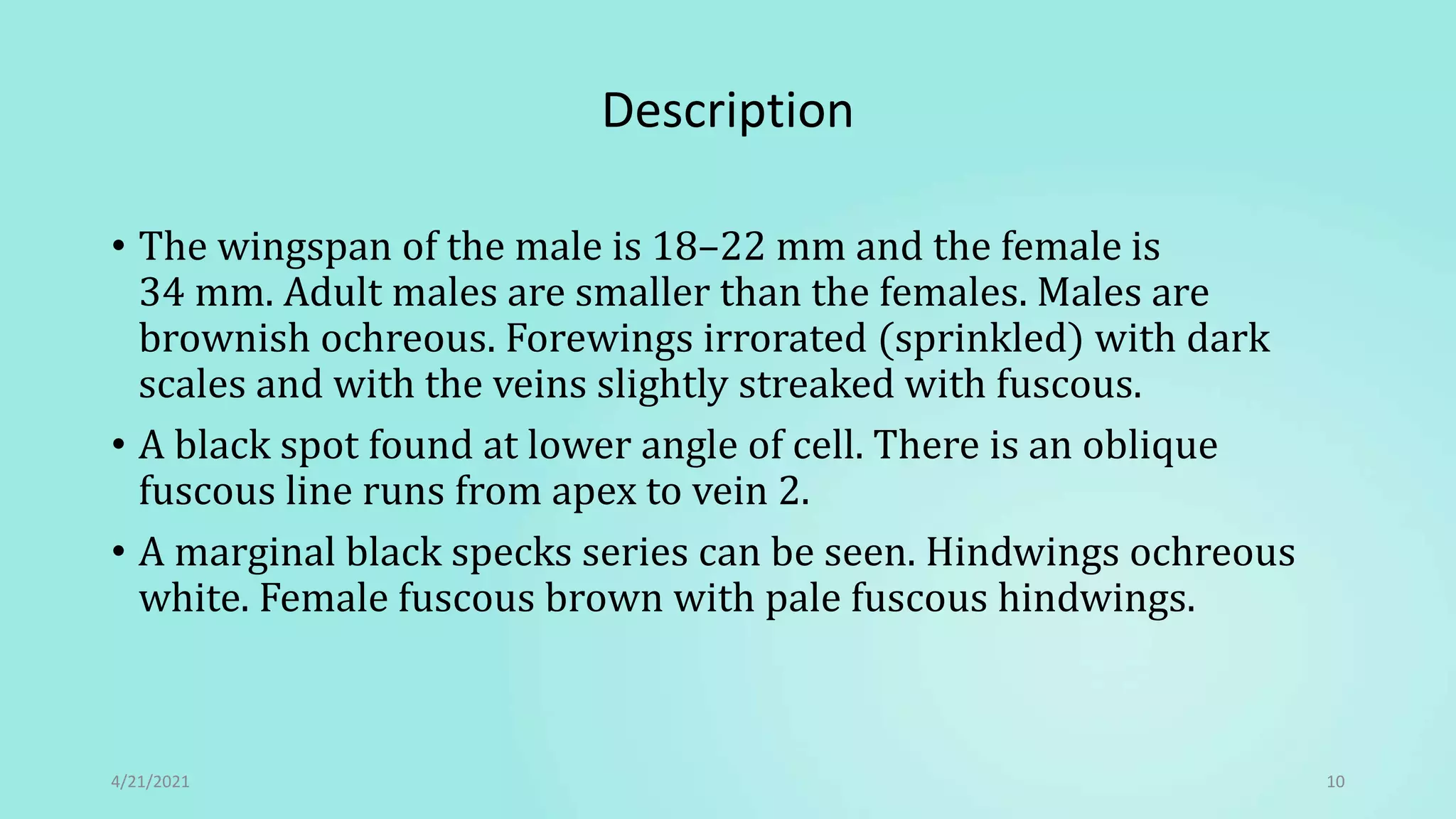 Rice yellow stem Borer | PPTX