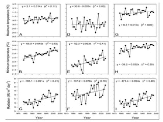 Rice yields decline | PPT