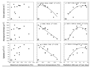 Rice yields decline | PPT