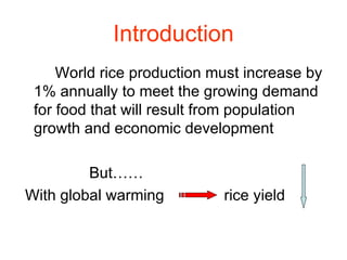 Rice yields decline | PPT