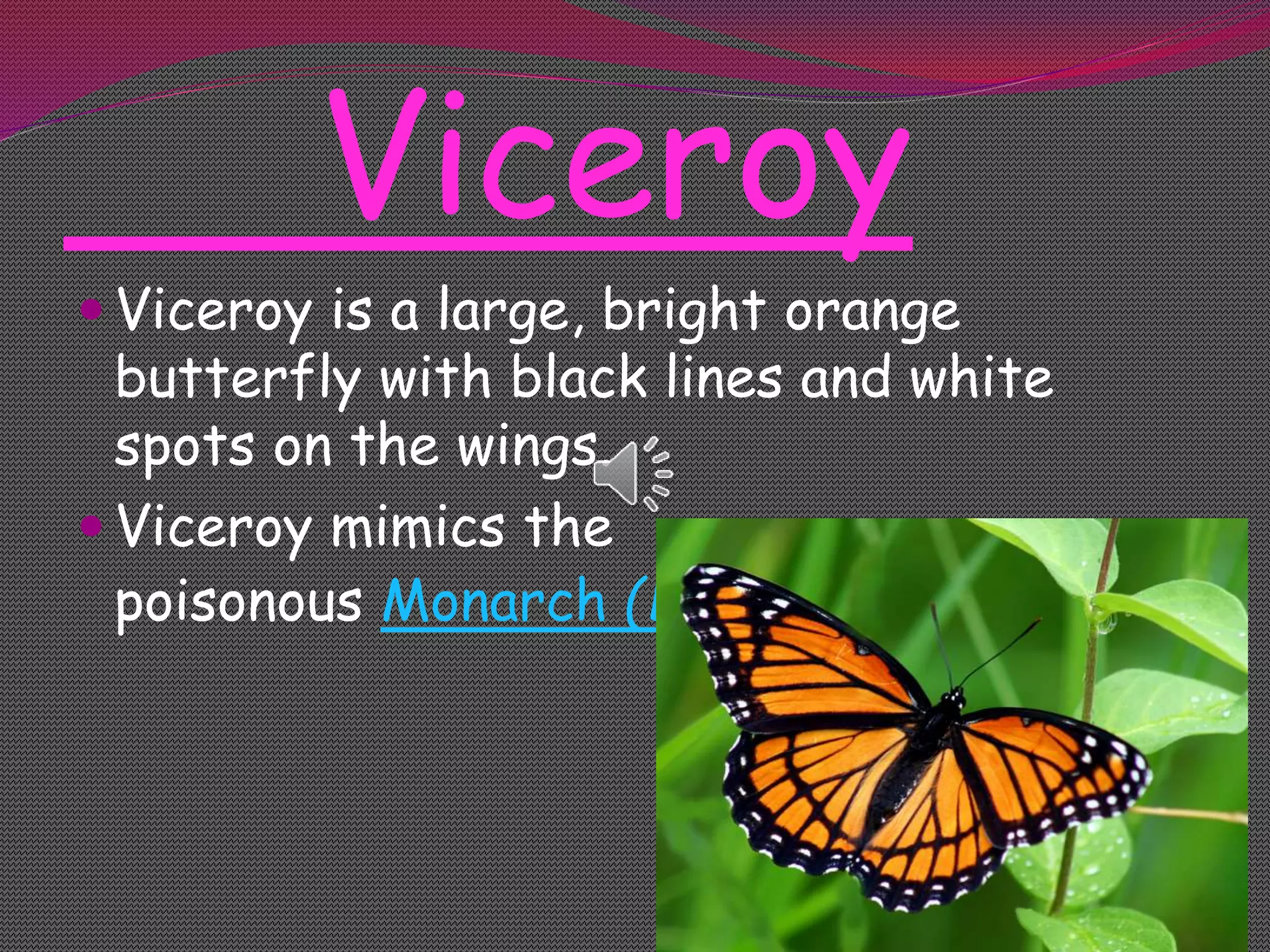 Richard.H.Ebright | PPTX