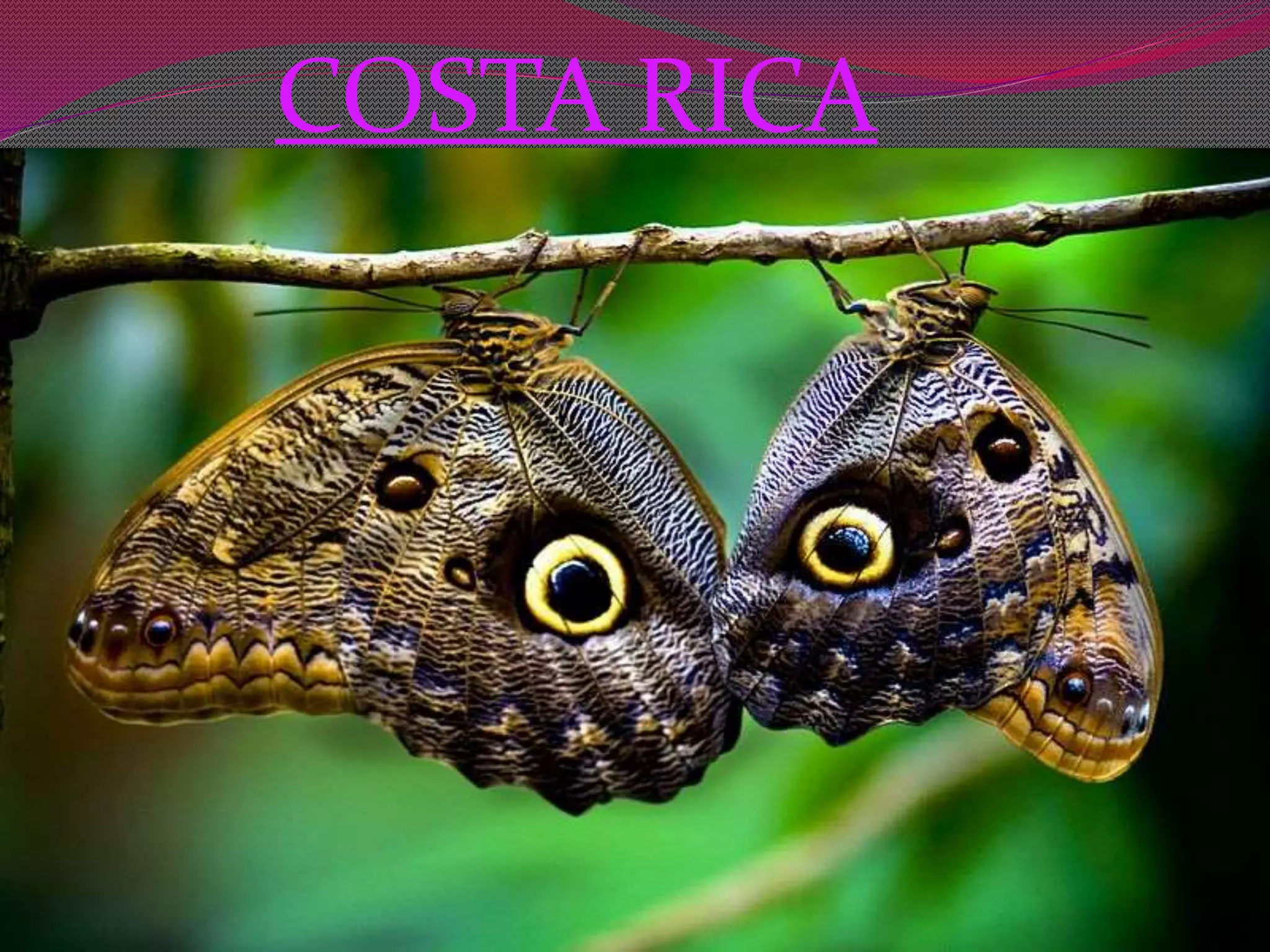 Richard.H.Ebright | PPTX