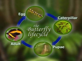 Richard.H.Ebright | PPTX