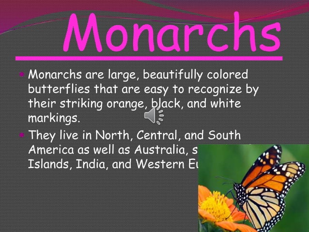 Richard.H.Ebright | PPTX | Birdwatching | Hobbies & Interests