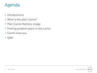 Cache issues from T-SQL-generated Plans and How to Manage Them | PPTX ...