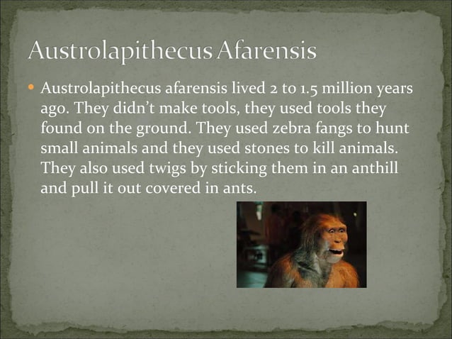 Richard early man’s tools | PPT