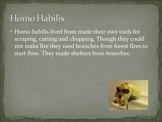 Richard early man’s tools | PPT