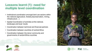 Lessons learnt from the Congo Basin | PDF