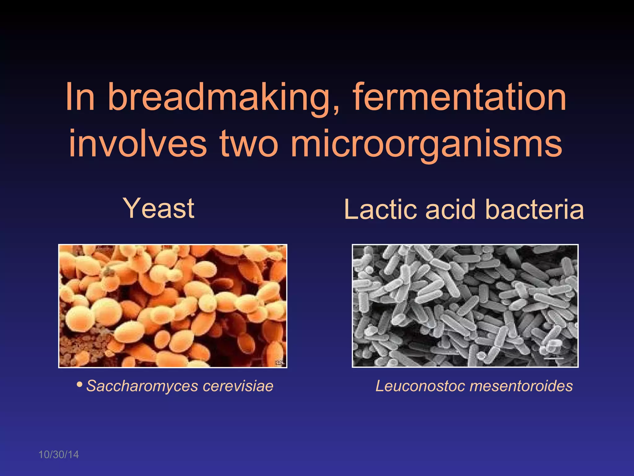 Fermented cereal products 2 | PPT