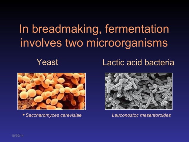 Fermented cereal products 2 | PPT | Desserts and Baking | Food & Drink