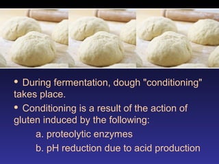 Fermented cereal products 2 | PPT