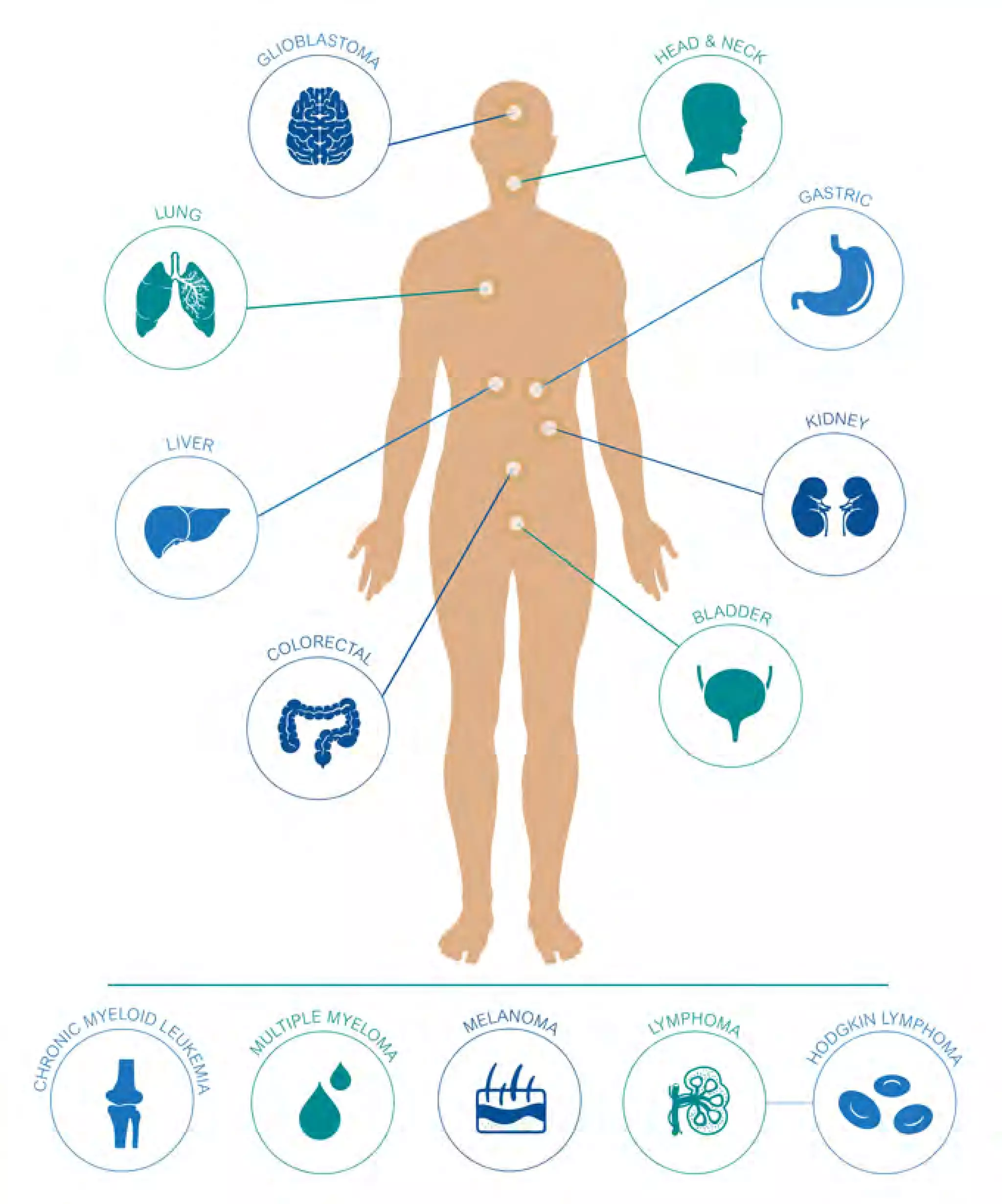 Pharma Infographic Sample | PPT