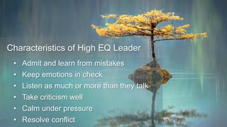 How Your EQ Could Outweigh Your IQ: The Professional & Personal ...