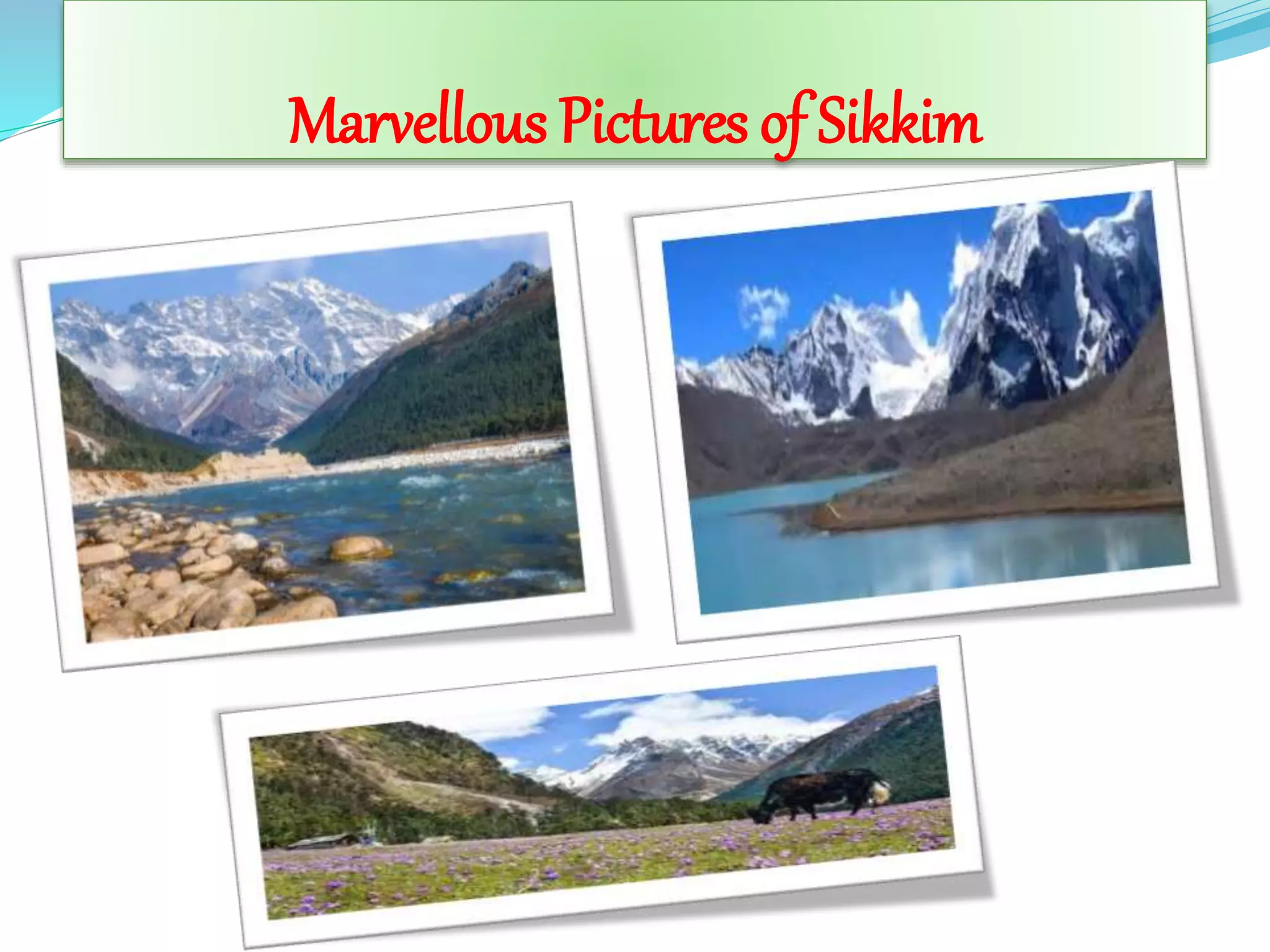 Rich cultural heritage of sikkim | PPTX
