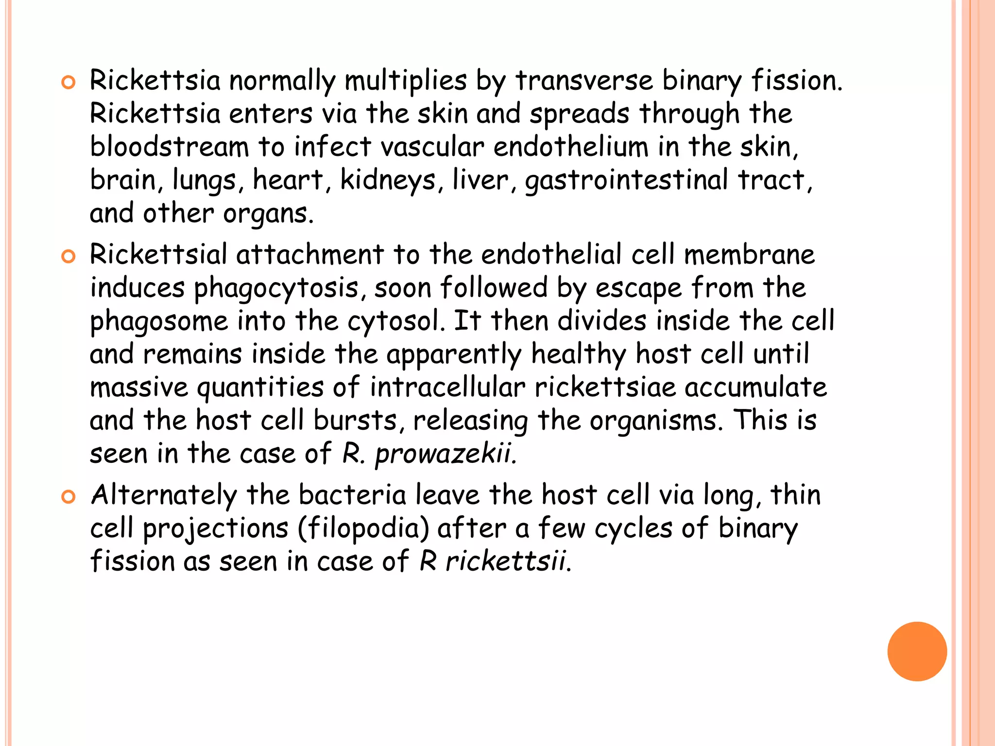 Medical Microbiology :Richettsia or rickettsiae | PPTX