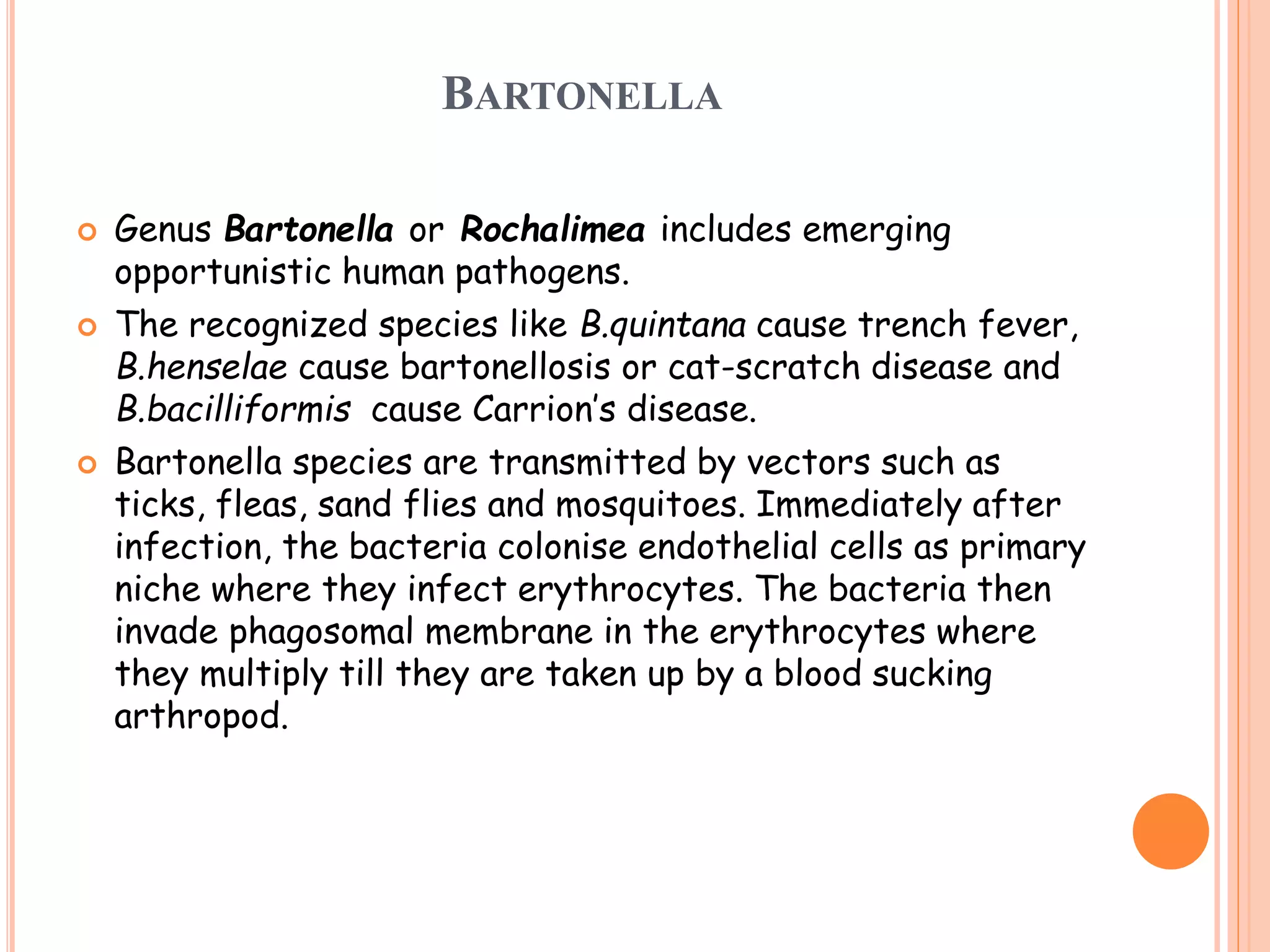 Medical Microbiology :Richettsia or rickettsiae | PPTX