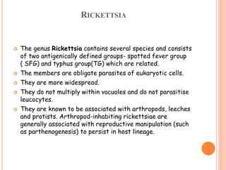 Medical Microbiology :Richettsia or rickettsiae | PPTX