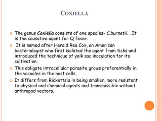 Medical Microbiology :Richettsia or rickettsiae | PPTX