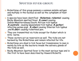 Medical Microbiology :Richettsia or rickettsiae | PPTX