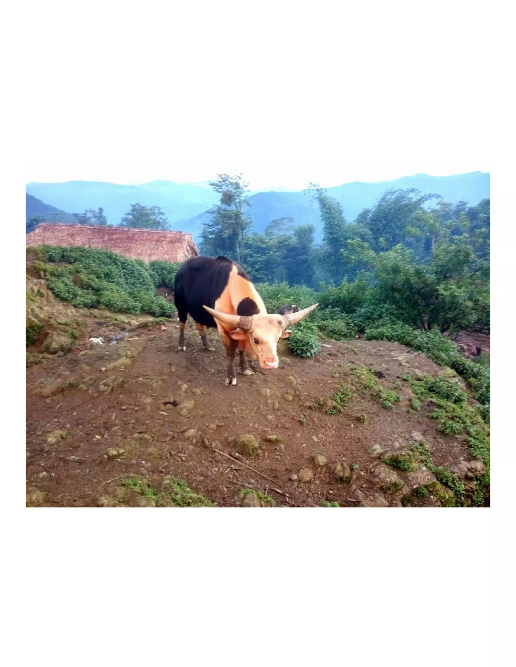 RICH HISTORY OF NAGA SELF-ADMINISTERED ZONE & NAGAS LAND NORTH EAST ...