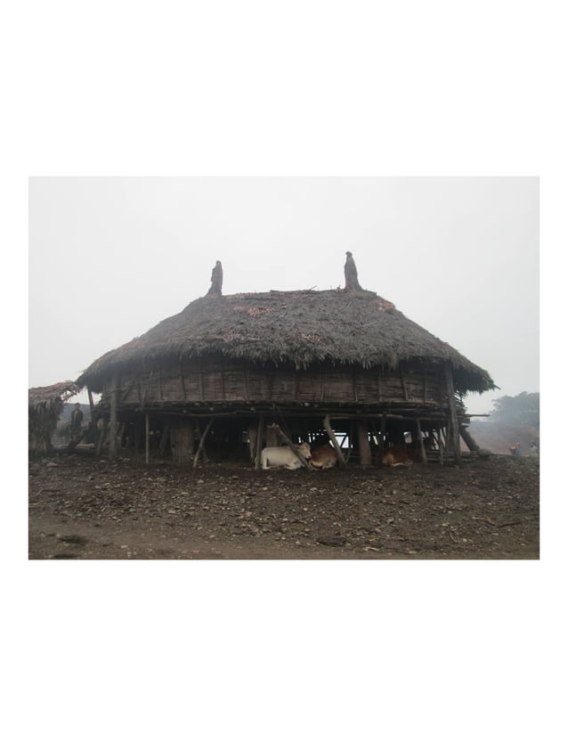 RICH HISTORY OF NAGA SELF-ADMINISTERED ZONE & NAGAS LAND NORTH EAST ...