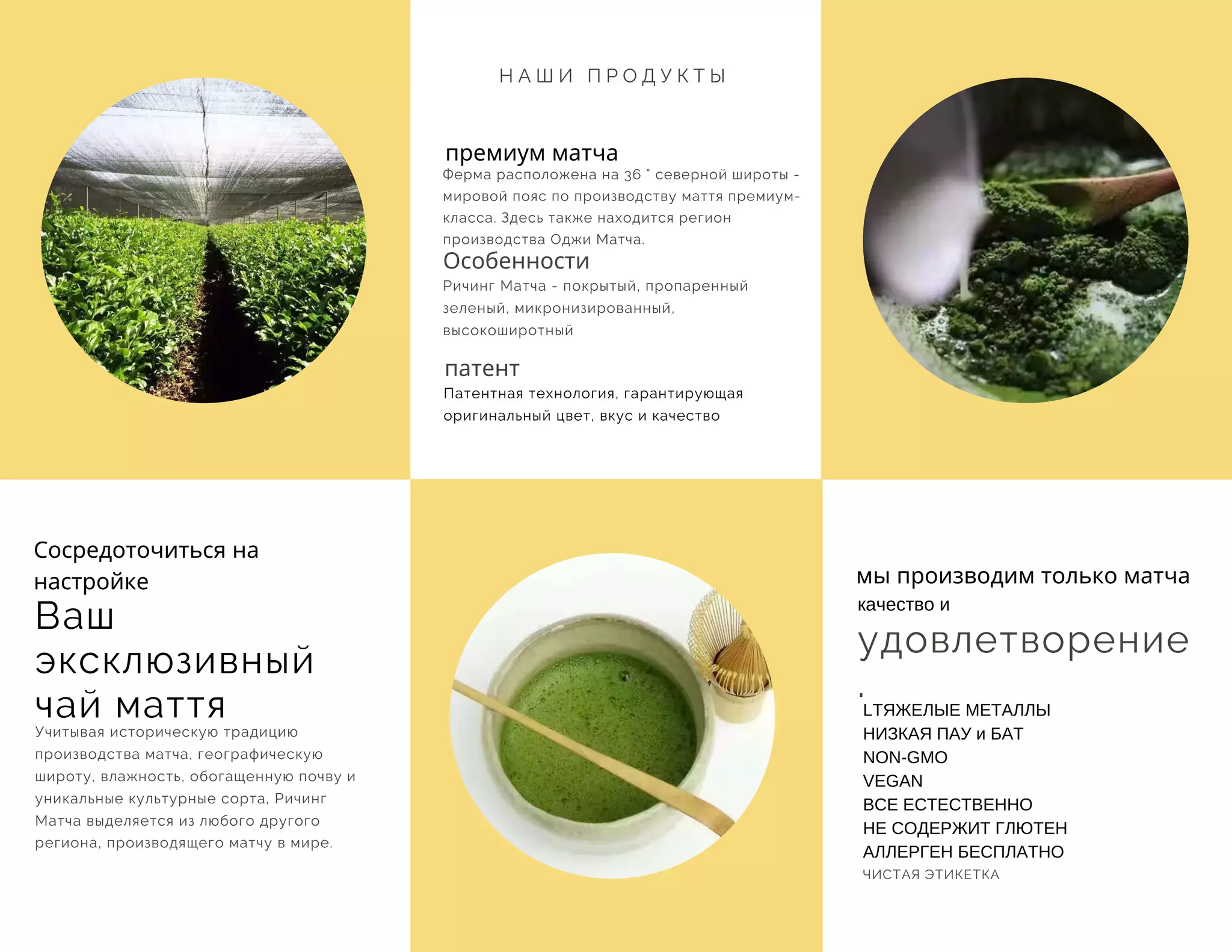 Matcha Матча | PDF