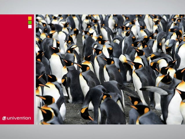 Rich internet application development using the dojo toolkit | PPT