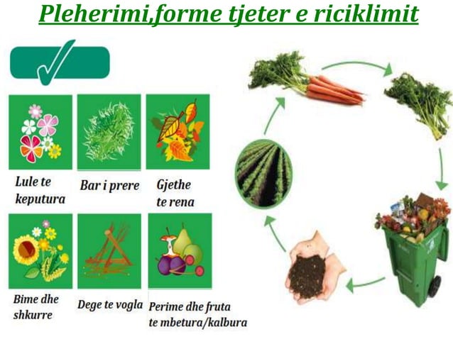 Projekt: Riciklimi | PPTX