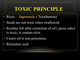 Ricinus communis | PPTX