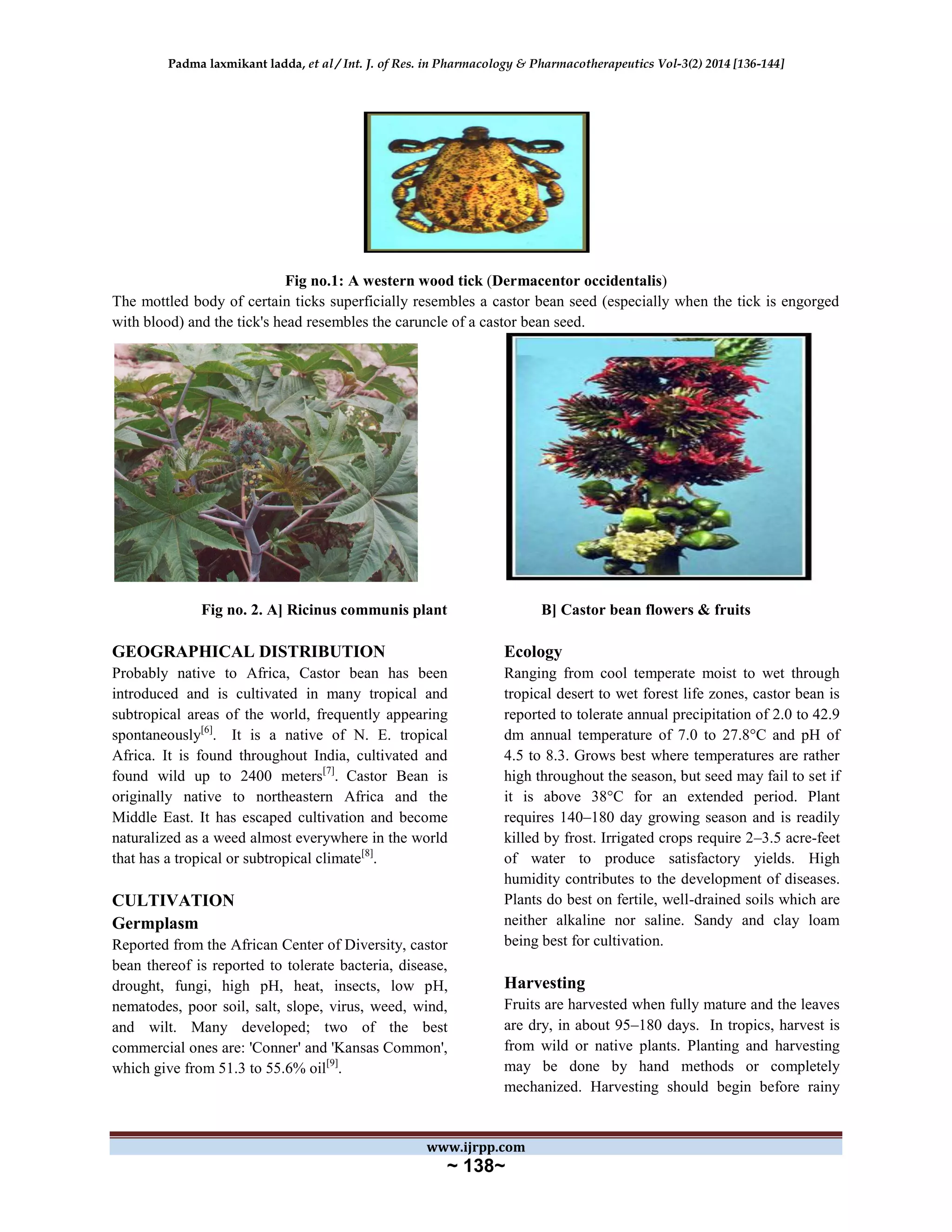 Ricinus communis (castor) an overview | PDF