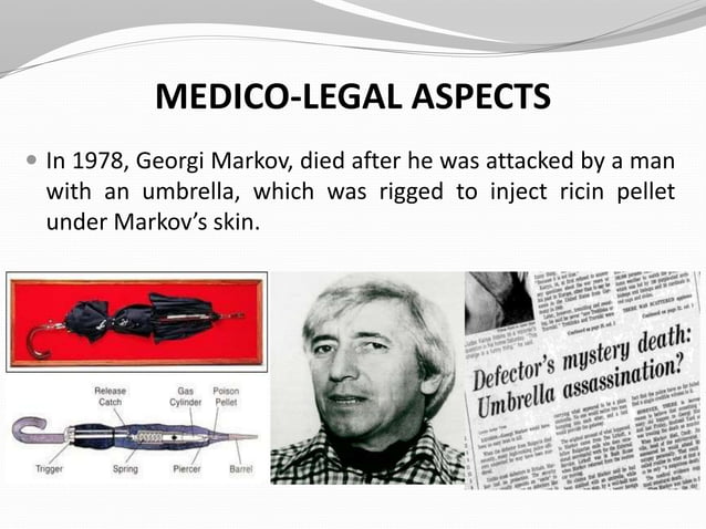 Ricinus communis roll no.82