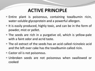 Ricinus communis roll no.82