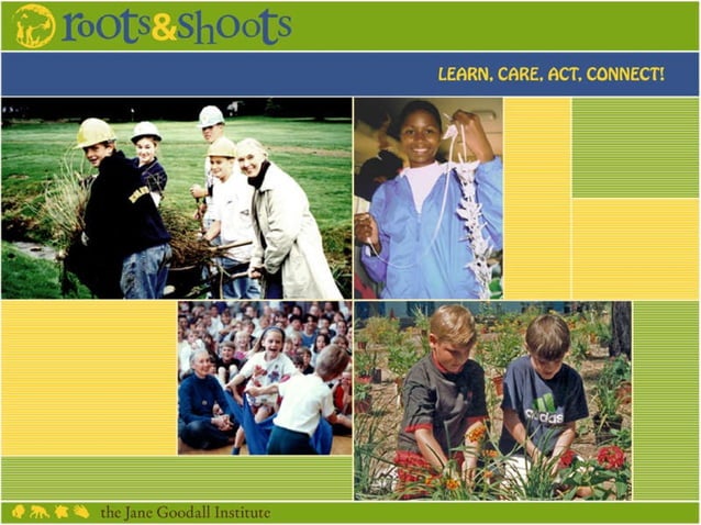 Roots & Shoots: Empowering Youth to Make a Difference | PPT